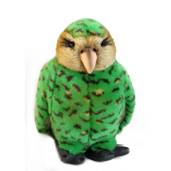 Kakapo Hand Puppet - Antics – The Canterbury Playcentre Shop